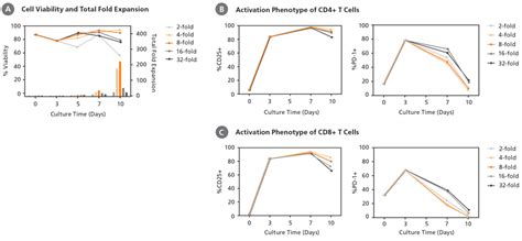 Optimization Of Human T Cell Expansion Protocol Effects Of Early Cell Dilution