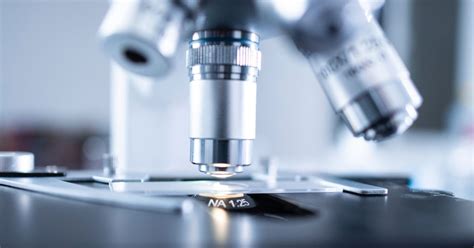 Nemo Guardrails Early Look What You Need To Know Before Deploying Part 2 — Robust Intelligence