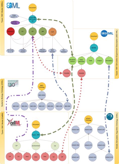 Linking Models Simulation Descriptions And Ontologies Linking Between