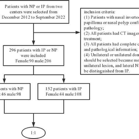 The Workflow Of The Collection Of Patients Created Using Wps Office Download Scientific Diagram