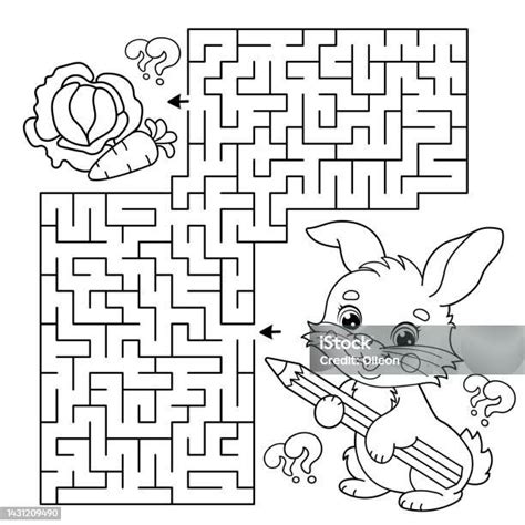 미로 또는 미로 게임 수수께끼 색칠 공부 페이지 개요 만화 귀여운 토끼 또는 당근과 양배추가있는 토끼 아이들을위한 색칠 공부 책 유치원에 대한 스톡 벡터 아트 및 기타