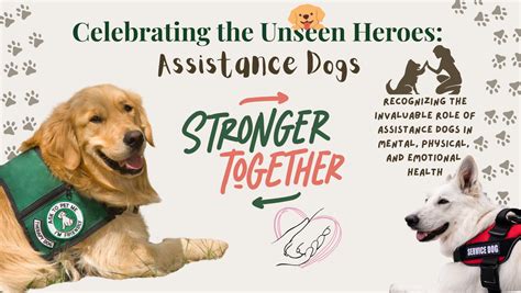 Honoring Heroes On Paws Celebrating International Assistance Dog Day