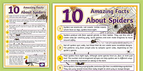 10 Amazing Facts About Spiders Display Poster Twinkl