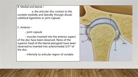 Anatomy And Physiology Of Temporomandibular Joint Pptx