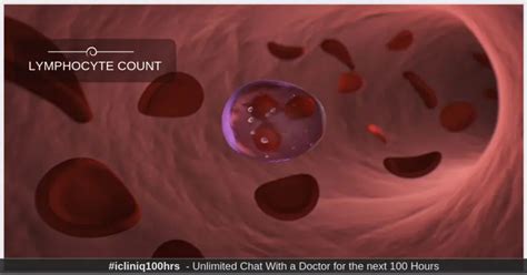 Why Is My Absolute Lymphocyte Count High