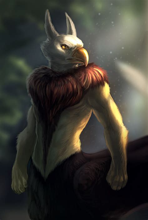 The Big Imageboard Tbib 2018 Accipitrid Accipitriform Avian Beak