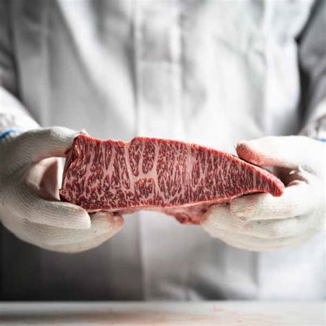 프라임 와규 소고기 치마살 부채살 살치살 스테이크 200g 더 에이징