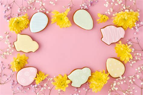 다채로운 토끼 달걀 닭과 당근 진저 브레드 쿠키와 노란색 국화 꽃 복사 공간과 핑크 배경부활절 인사말 카드 모의 배너 위쪽 보기 0명에 대한 스톡 사진 및 기타 이미지