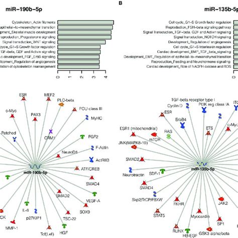 Unsupervised Consensus Cluster Analysis Of Mirna Methylation Patterns