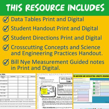Metric Measurement Lab Graphing Data Collection By Williams Hands On Science