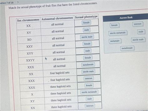 Solved Match The Sexual Phenotype Of Fruit Flies That Have