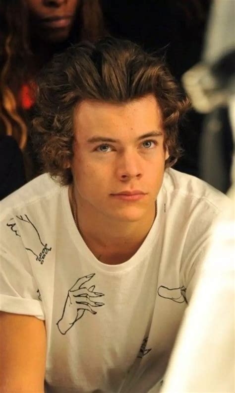 Chat With Harry Styles Nsfw Enjoy Free Unrestricted Ai Character Roleplay No Filter Flowgpt