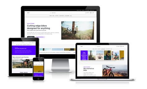Dynamicweb Swift Dynamicweb 10 Developer Documentation