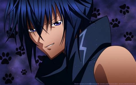 Shugo Chara Ikuto Black Lynx