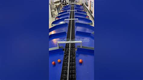 Fruitsorting Machine Sortingmachine Agriculturalmachinery Tomato