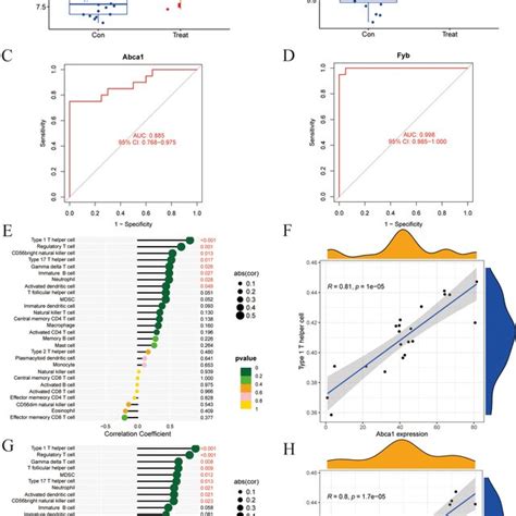 Verification The Correlation Between Hub Gene Expression And Immunity