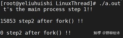 fork函数 知乎