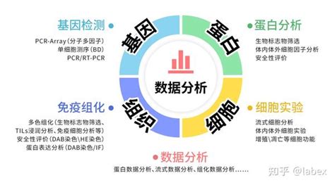 小分子抑制剂msd应用案例5 淋巴瘤的新治疗靶点bcl6 蛋白的降解dc 50检测方案 知乎