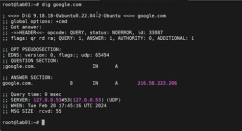 How To Configure Dns In Linux A Step By Step Guide