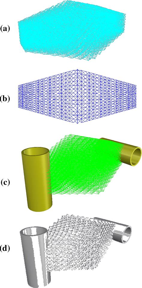 A Conformal Skeleton Model Of The Lattice Structure B Top View Of The Download Scientific