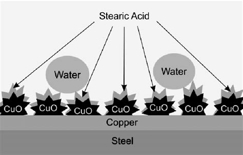 Wetting Behavior Of Superhydrophobic Surface Download Scientific Diagram