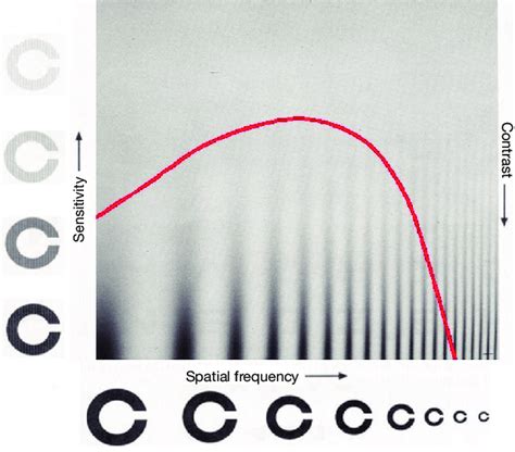 The Curve Represents The Csf Superimposed On A Sinewave Grating Csf
