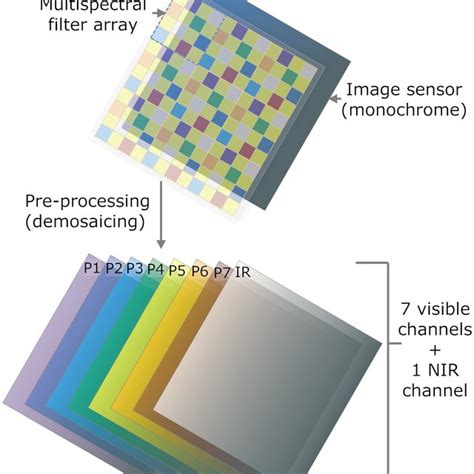 Global Scheme Of The Multispectral Imaging System With The Filter Download Scientific Diagram