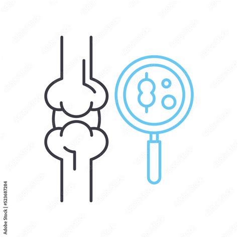 Bone Densitometry Test Line Icon Outline Symbol Vector Illustration