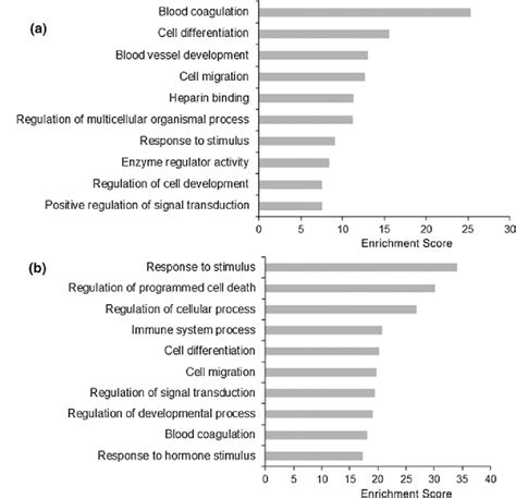 Clustering Of Go Terms On Ppi Networks Significantly Over Represented Download Scientific