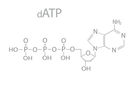Datp Over 6 Royalty Free Licensable Stock Vectors And Vector Art Shutterstock