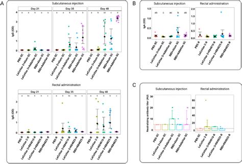 Immune Responses After Immunization With LeCoVax 2 Vaccine A D