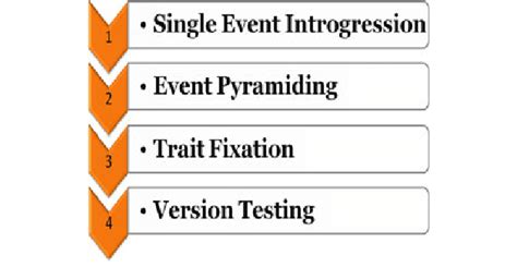 Four Steps Involved In Multiple Trait Integration Mti In Maize Download Scientific Diagram