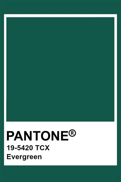 Pantone Evergreen Color Palette