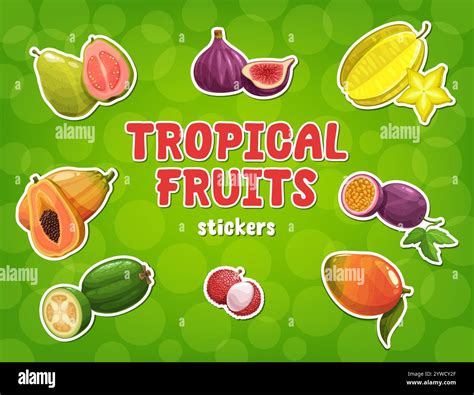 Mango And Passion Fruit Jam Stock Vector Images Alamy