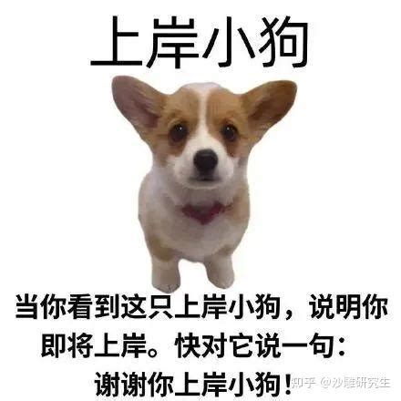 B站考研up主直播学习过于投入竟然随手开导 知乎