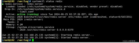 Redis 启动方式redis Systemctl Csdn博客