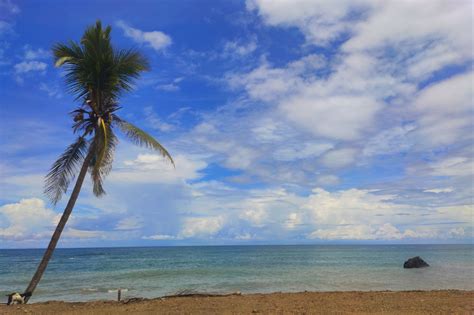 ဧရာဝတီတိုင်းက ပင်လယ်ကမ်းခြေ အပန်းဖြေစခန်းများ ဇွန်လကုန်အထိ ပိတ်ထားမည် Dvb