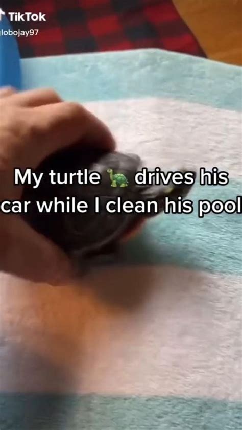 Tamara Kuster💋 Iamtamarastevens Profile Pinterest