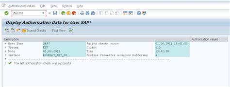 Sap Security Troubleshooting Authorization Errors