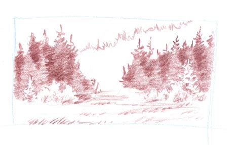 How To Draw Coniferous Forests John Muir Laws