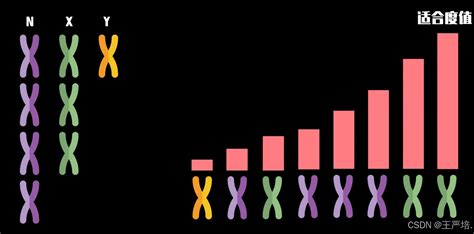 遗传算法genetic Algorithm详解comsol遗传算法 Csdn博客