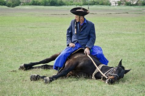 말 타는 사람 데모 Pixabay의 무료 사진 Pixabay