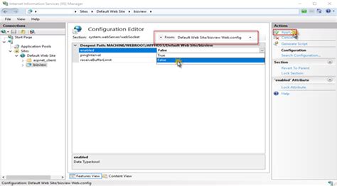 Enabling Websocket Protocol Bizview