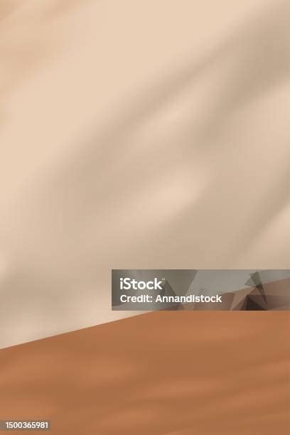 가을 배경 시멘트 벽 방에 그림자 나뭇잎이 있는 베이지색 스튜디오 배경 디스플레이 나뭇가지 잎을 위한 투명한 부드러운 빛 화장품 프레젠테이션 개념 온라인 가을 시즌 판매 0