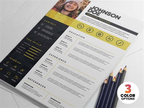 30 Best Photoshop Resume Templates PSD With Modern Designs Theme Junkie