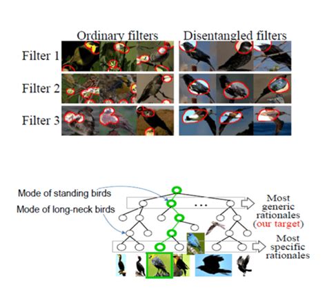 Top Comparisons Between Ordinary CNN Feature Maps And Disentangled Download Scientific Diagram