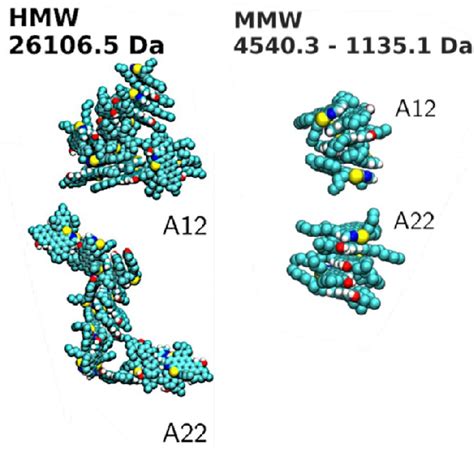 Simulation Of Aggregation Of Molecular Models In Toluene Calculated