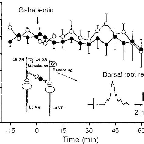 Gabapentin Suppresses Mono And Polysynaptic Reflex Potentials Download Scientific Diagram