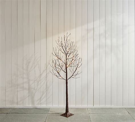 Lit Outdoor Willow Twinkling Twig Tree Pottery Barn