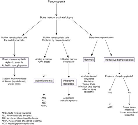 Pancytopenia Archives Eclinpath